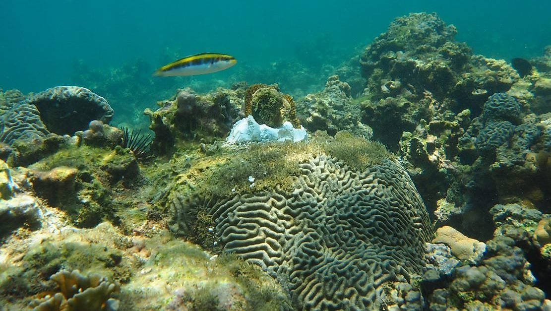 Medio ambiente | Shell México